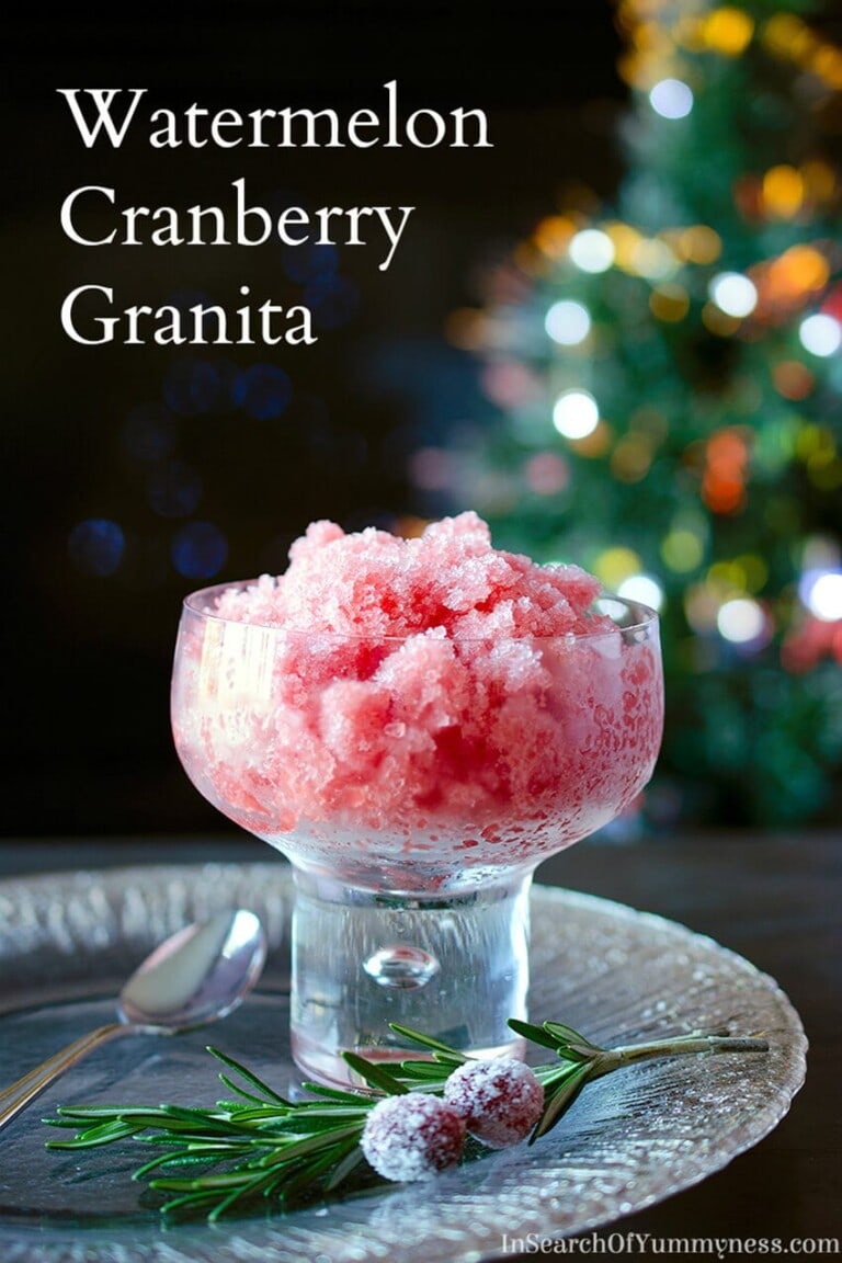 Watermelon Cranberry Granita - In Search Of Yummy-ness