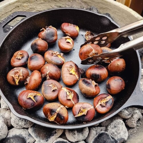 The Ultimate Guide to Roasting Chestnuts | In Search Of Yummy-ness