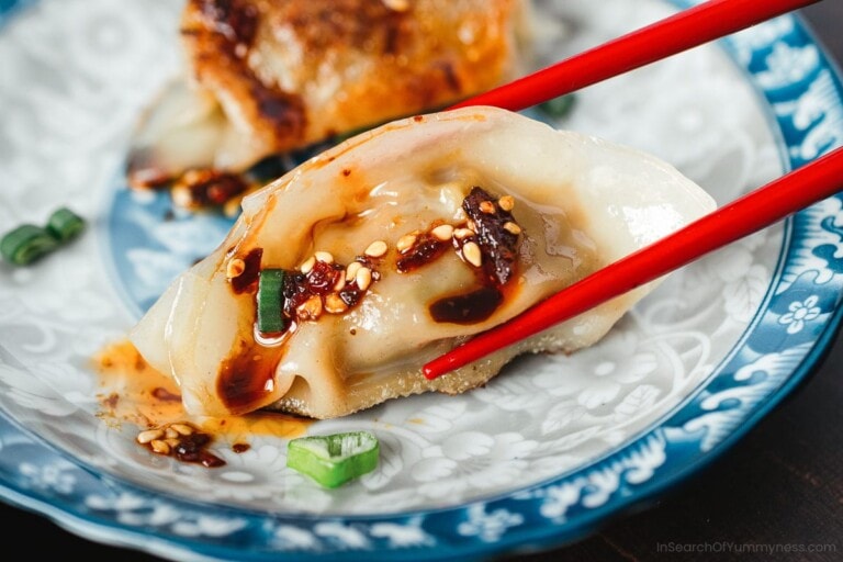 Pan-Fried Dumplings (Potstickers) - In Search Of Yummy-ness