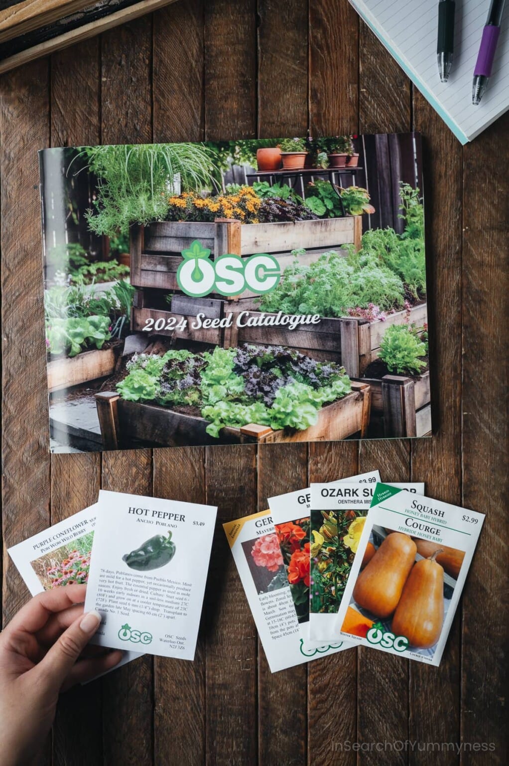 11 Canadian Seed Companies Every Gardener Should Try